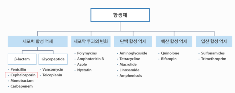 세파계 항생제 알러지 세파계 항생제 종류 네이버 블로그