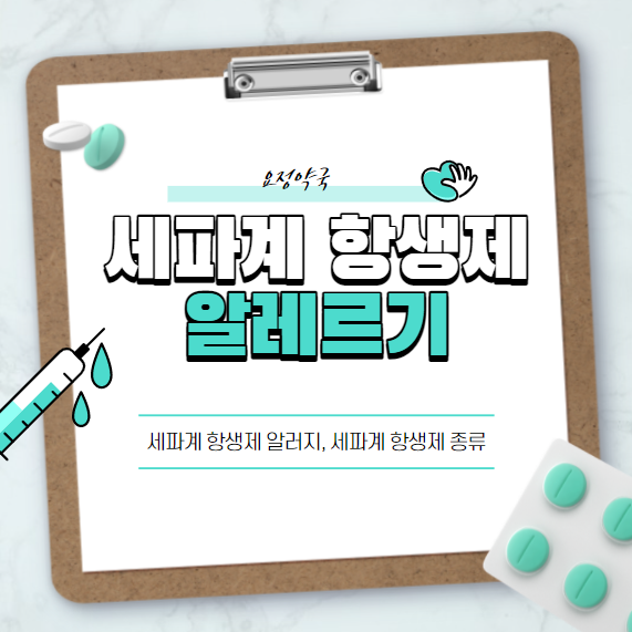 세파계 항생제 알러지 세파계 항생제 종류 네이버 블로그