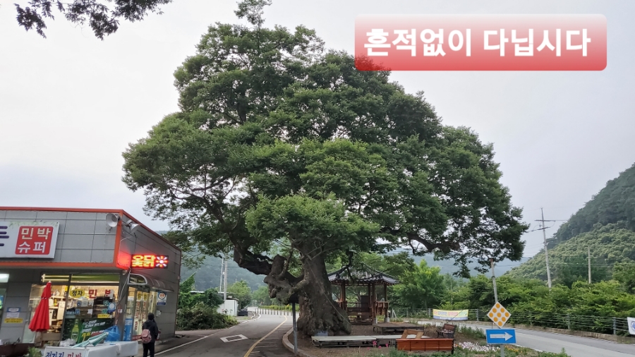 #청양기도터 5 #장곡 🌄 아니온듯 흔적없이 다닙시다. : 네이버 블로그