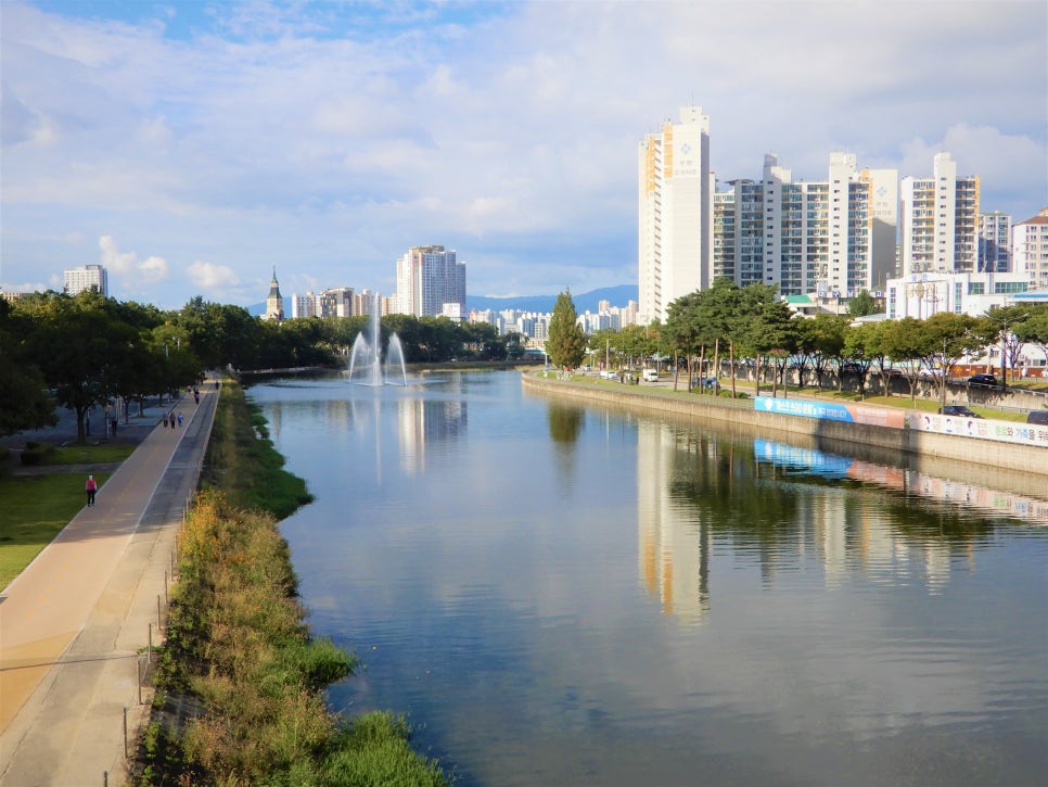 대구 신천 : 네이버 블로그