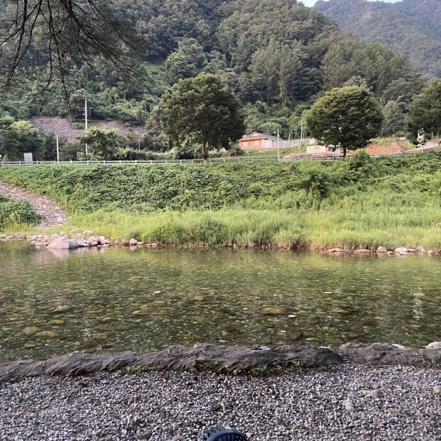 9개월 29개월 아기랑 네번째캠핑 영월 내리계곡 솔밭캠핑장 네이버 블로그