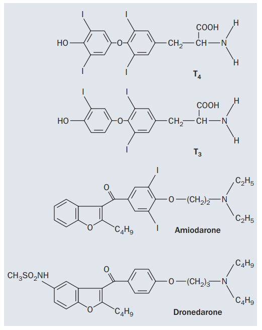 Jod-Basedow effect & Wolff-Chaikoff effect : 네이버 블로그