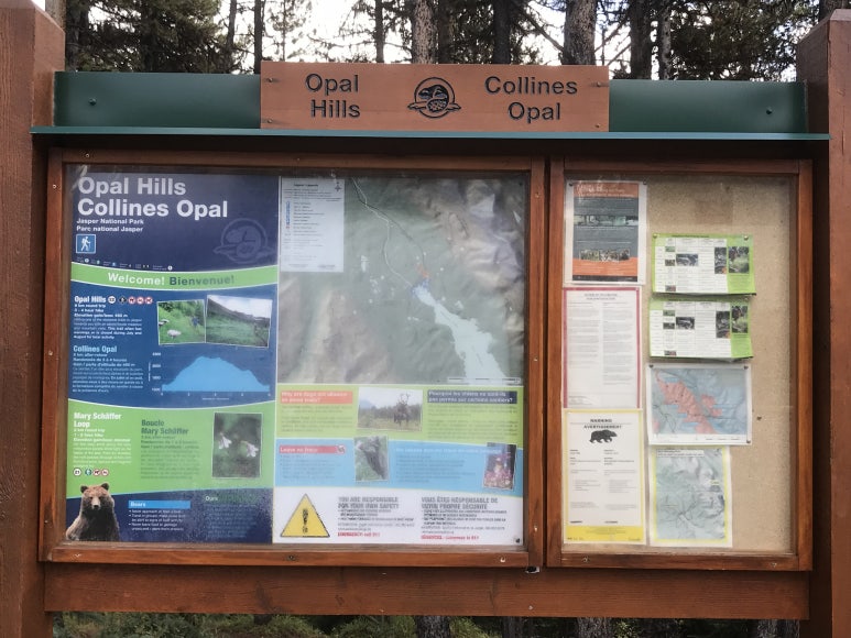 캐나다 록키 트레킹 오팔 힐스 루프 트레일 Opal Hills Loop Trail 네이버 블로그