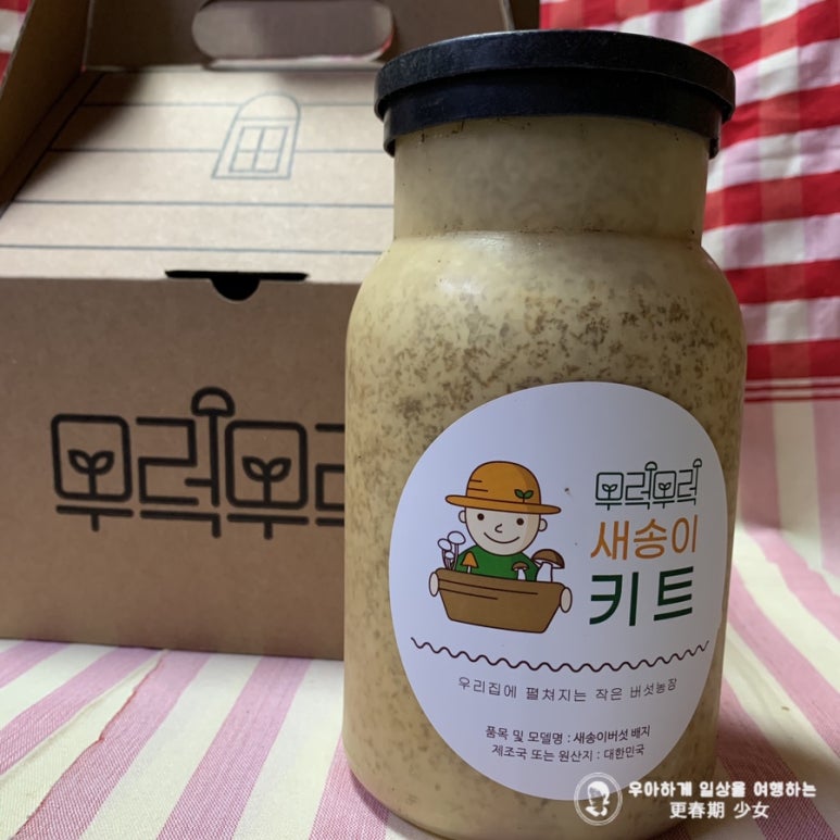 무럭무럭 새송이 키우기 버섯키우기키트 Diy로 나 금손된것 같은 착각 나도 키워주라 무럭무럭 ㅋㅋ 네이버 블로그