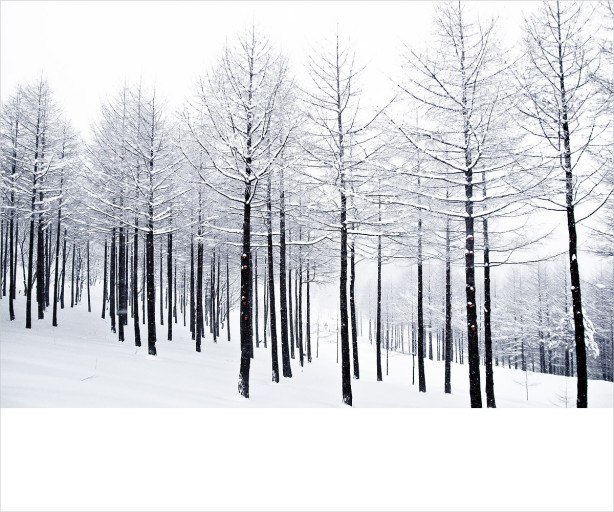 순백의 풍경이 아름다운 곳. 만항재&정암사 : 네이버 블로그