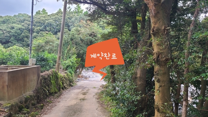 서귀포토지 중문 도순동 아주 저렴한 노지감귤밭 매매 서귀포두꺼비부동산 계약완료 네이버 블로그