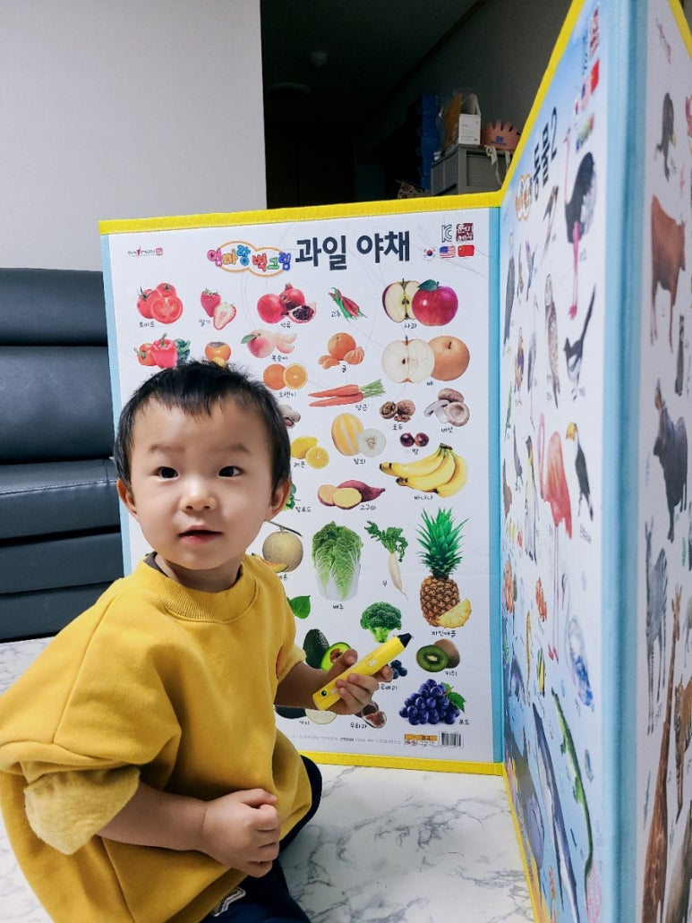 엄마랑벽그림 병풍포스터 세이펜호환 세이차트추천 세이병풍추천 단어 영어혼자공부하기 잘하는법 한글떼기 한글발음공부 어린이날선물 아들