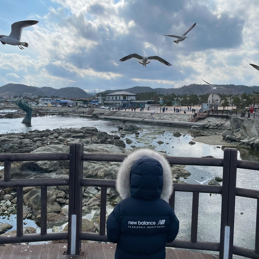 포항 아이랑 가볼만한 곳 호미곶해맞이광장에서 연날리기 한판 💛 네이버 블로그