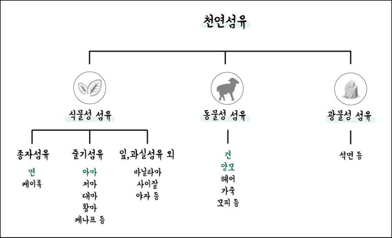 섬유의 분류 2 천연섬유 종류 와 특징 및 장단점 네이버 블로그