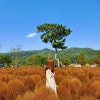 경남 가을여행지 의령 친수공원 댑싸리 몽글몽글 짱 귀여워 네이버 블로그