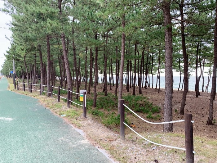 강릉시 토지임야경매 사천면 산대월리 토지임야 2020타경32663 네이버 블로그