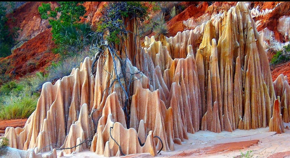 🇲🇬 마다가스카르《앙카라나 보호구역》 칭기루즈(Tsingy Rouge)/앙카라나 보호구역(Ankarana Special ...