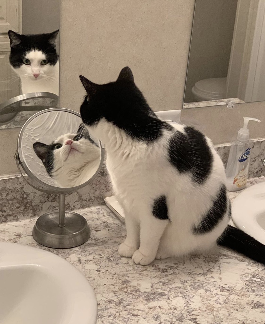 💉🩸🥺 : 네이버 블로그