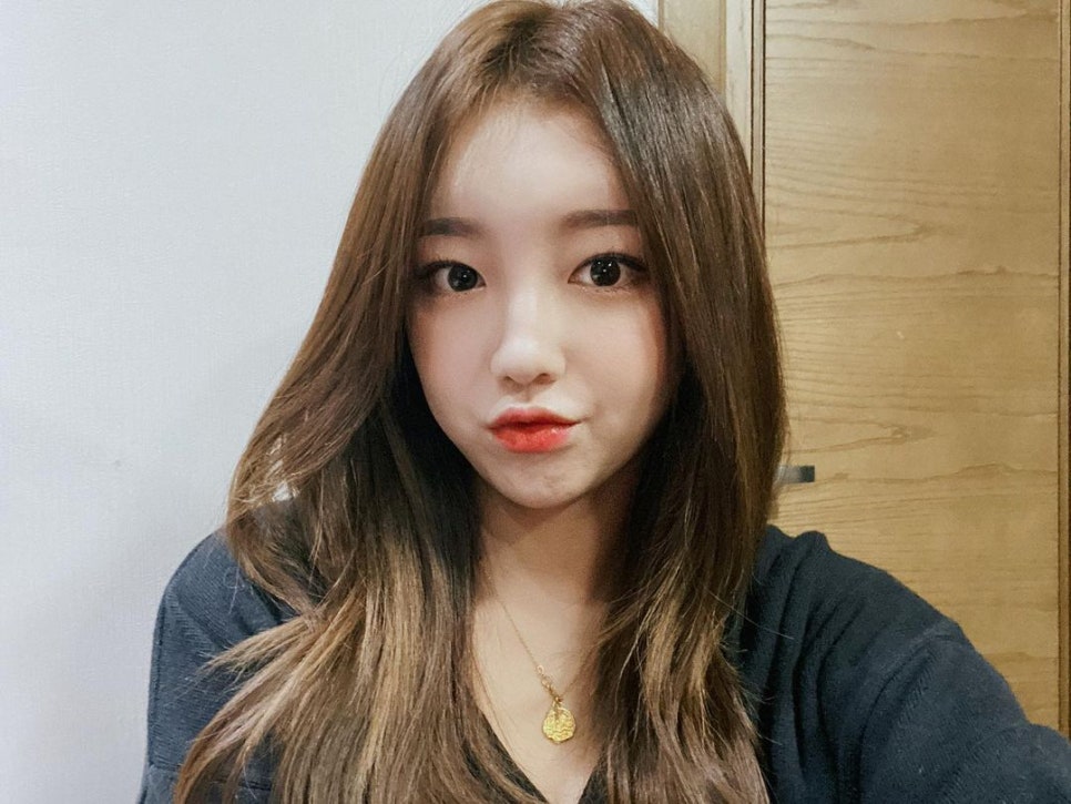 Bj외질혜 복귀 철구 위자료 인스타 본명 나무위키 1995년생 유튜버 구독자수 나이 키 164cm 45kg A형 프로필 홀로서기