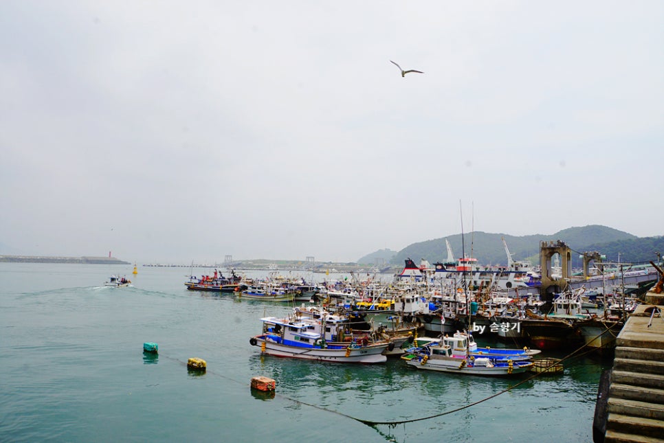 대천해저터널 위치 보령해저터널 요금 국내 최대 해저터널 보령 대천항에서 태안 영목항까지 시간단축하기 : 네이버 블로그