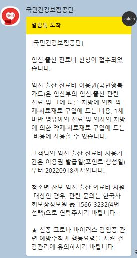 자궁외임신자궁각임신의 수술 비용 바우처 사용방법 실비보험 적용 여부 네이버 블로그