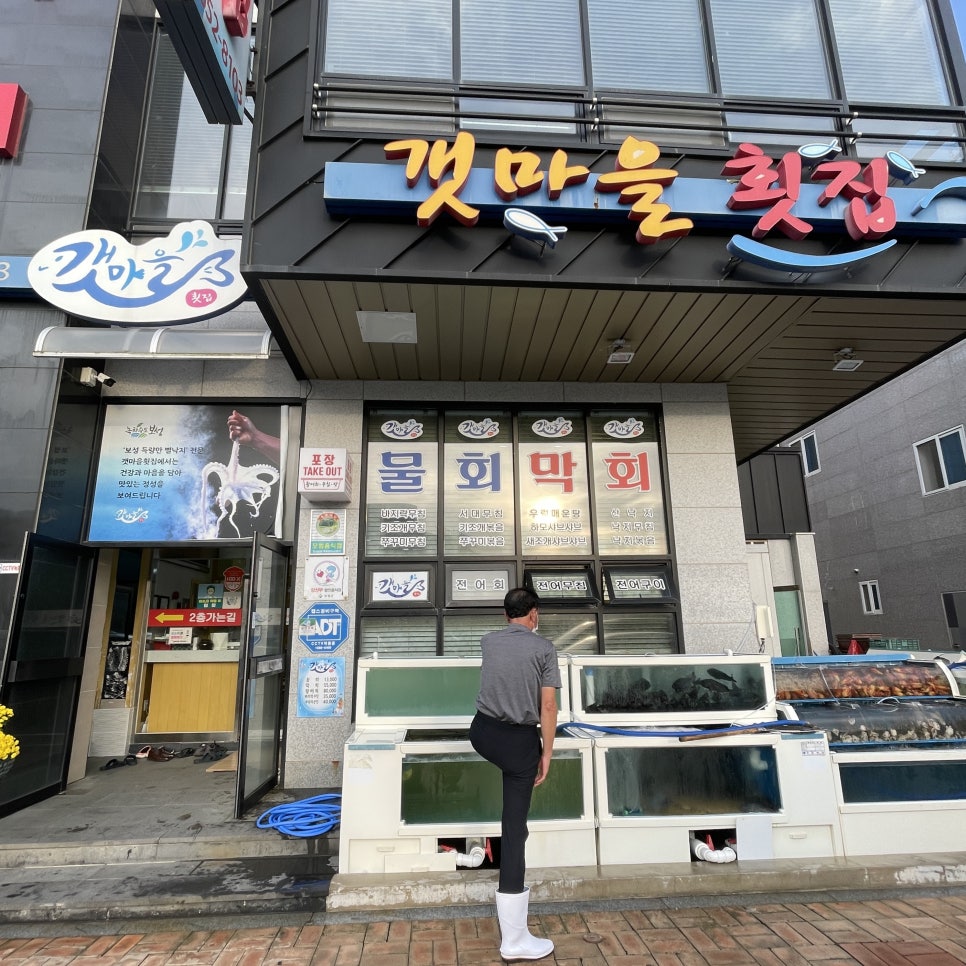 보성일상 율포 갯마을횟집 모듬물회 회덮밥 먹기 33 삼점삼브런치카페 네이버 블로그