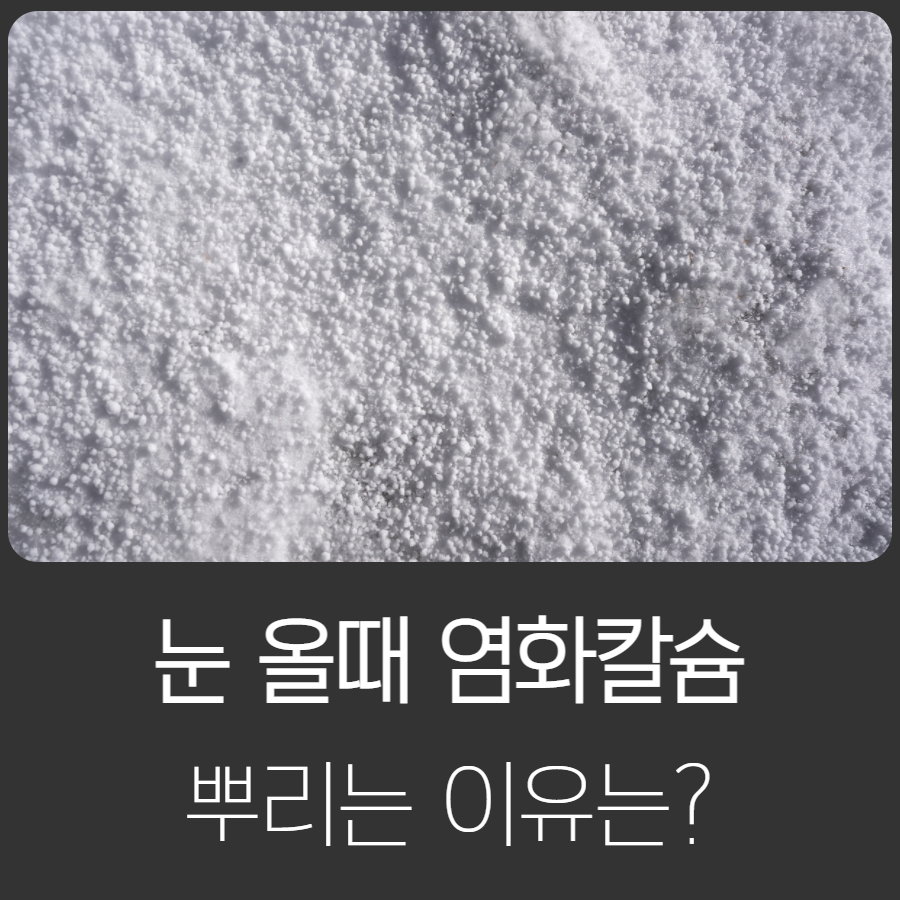눈오면 염화칼슘 뿌리는 이유는 네이버 블로그