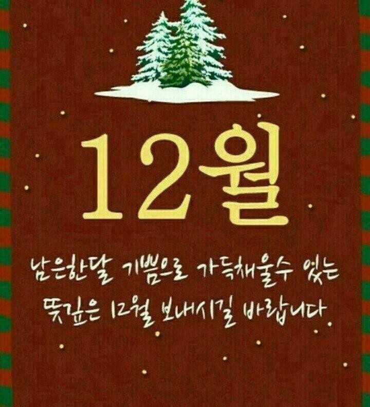 빈체로의 아침편지 12월 1일 수요일 좋은 아침입니다 12월의 첫 날 건강과 행복과 사랑이 넘치며 한 해를 잘 마무리하고 새