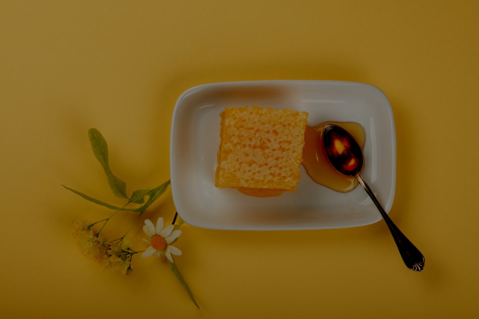 아카시아꿀 잡화꿀 우리가 알지 못했던 꿀의 종류와 효능ft외국꿀 마누카꿀 오렌지꽃꿀 유채꿀 야생화꿀 라벤더꿀