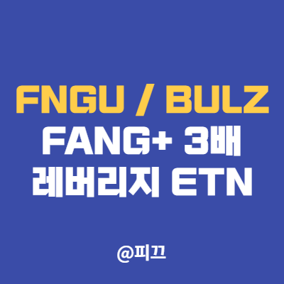 미국 주식 FANG+ 3배 레버리지 ETF(ETN): BULZ vs FNGU 수익률 차이 비교 : 네이버 블로그