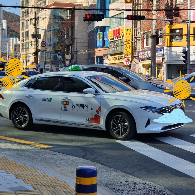 카카오택시만 알고있나요? 부산 동백택시 등장! 12월부턴 부산에서 택시로 캐시백 챙기세요 : 네이버 블로그