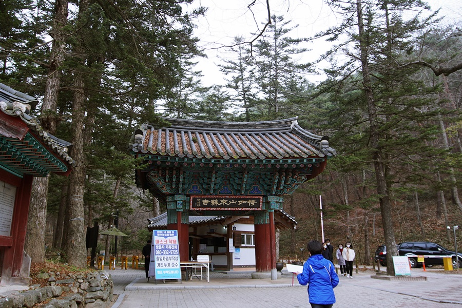 전북여행 부안 가볼만한곳 내소사 꽃살문 춘추벚꽃 전나무숲길 네이버 블로그