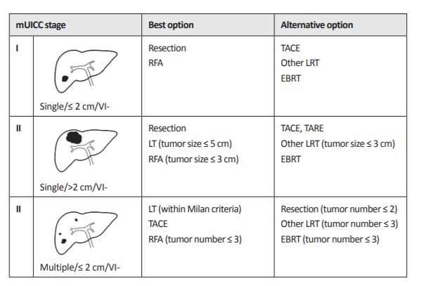 의학용어 HCC, 간세포암종(간암) - 진단, 병기, 치료 : 네이버 블로그
