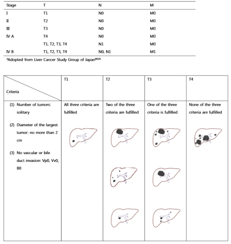 의학용어 HCC, 간세포암종(간암) - 진단, 병기, 치료 : 네이버 블로그