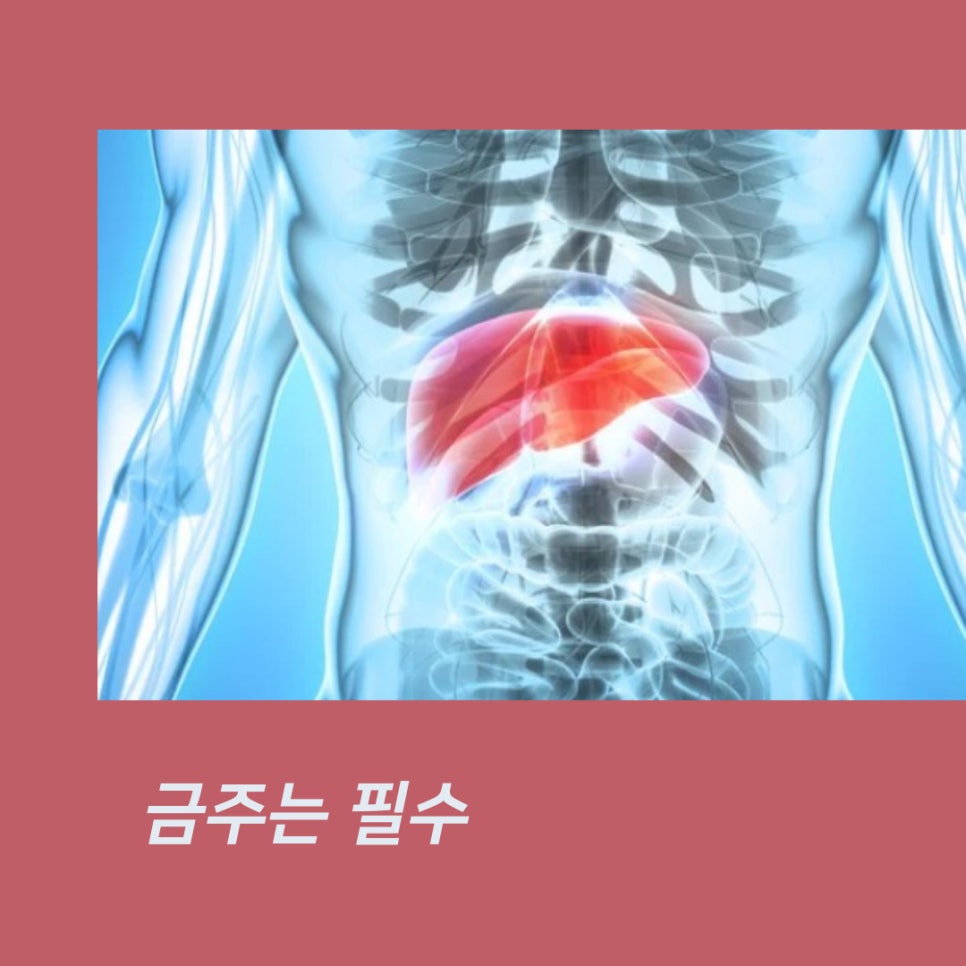 간수치 정상범위 감마지티피 수치altast 확인 네이버 블로그