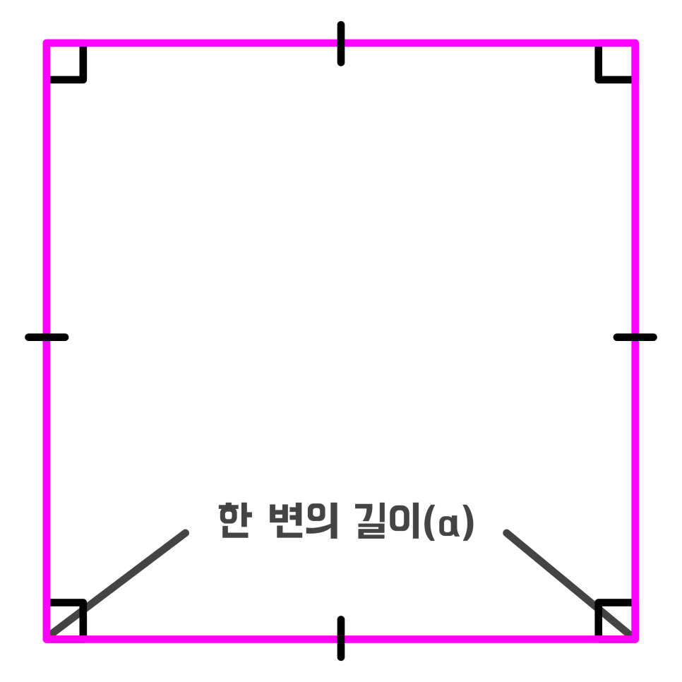정사각형 직사각형 넓이 공식 (+ 예제 10선 풀이) : 네이버 블로그