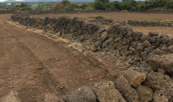 간대성 토양[intrazonal soil]과 성대성 토양[zonal soil] : 네이버 블로그