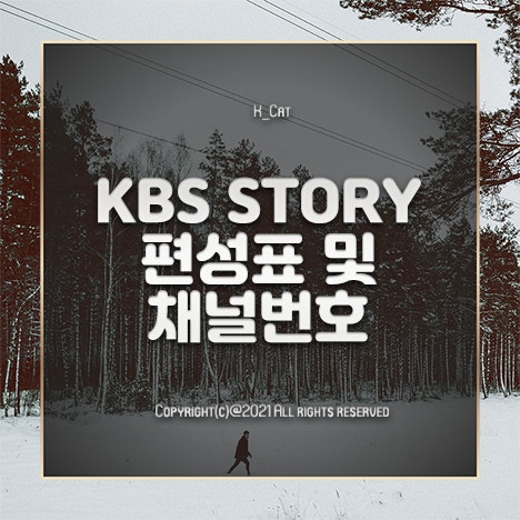 KBS STORY 편성표 및 채널번호 확인하는 방법 : 네이버 블로그
