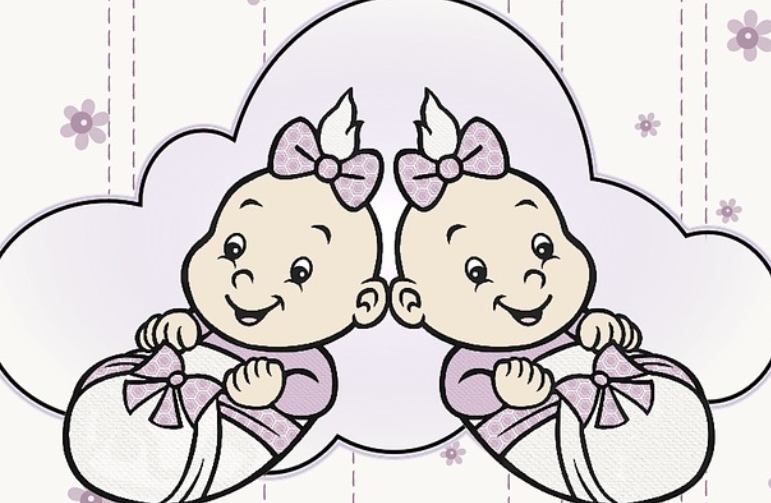 초음파로 일란성 쌍둥이와 이란성 쌍둥이를 구별하는 방법 네이버 블로그