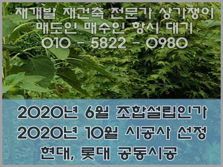 대구시 중구 남산동 재개발 명륜지구 현황 네이버 블로그