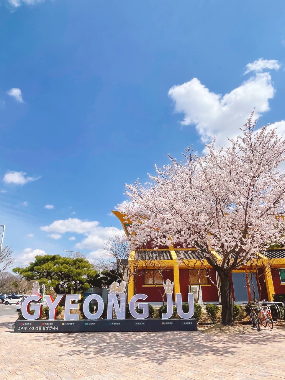 2022년 경주 벚꽃 명소 실시간 대릉원 돌담길 황룡사 마루길 분황사 황룡원 보문정 보문관광단지 네이버 블로그