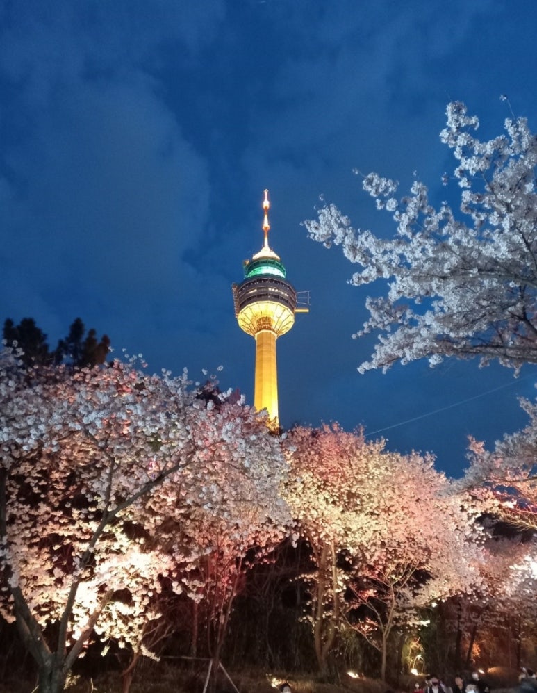 명덕지구 입주권 대명2동 재개발 명덕지구 대림이편한세상 조합원 입주권 84a 추천매물 명덕지구 입주권 84a 프리미엄