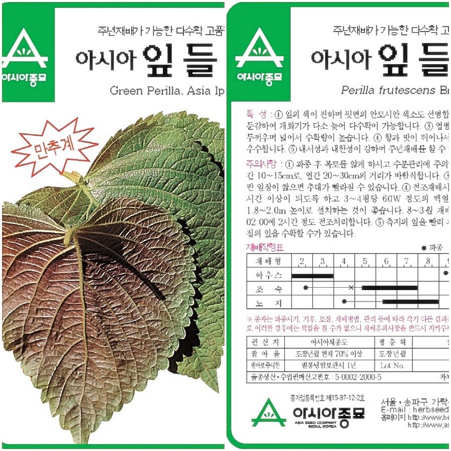 5월작물 들깨심는시기 씨앗 파종시기 들깨재배 방법잎들깨 네이버 블로그