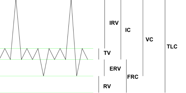 폐용적, 폐활량 측정 (의학용어 TV, IRV, ERV, VC, RV, IC, FRC, TLC) : 네이버 블로그