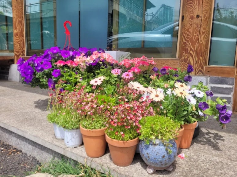 [청주 맛집]고즈넉한 분위기의 청주 한우집, 수이재1928 점심 추천 : 네이버 블로그