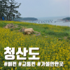 완도에서 청산도 가는 법 배시간 요금 차량승선 및 여행코스까지 네이버 블로그