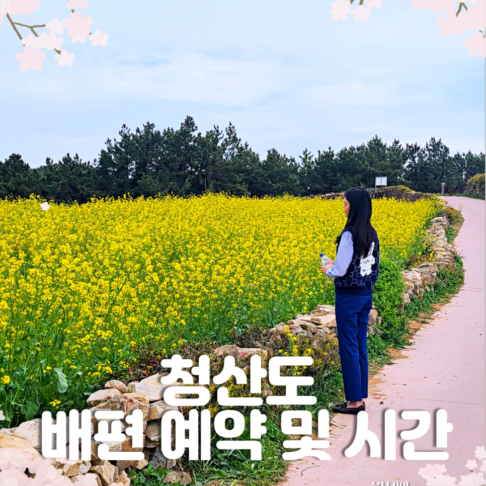 청산도 배편 예약 및 시간 완도 유채꽃 절정시기 인생 사진 꿀팁 네이버 블로그