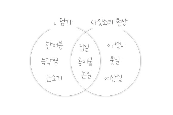 국어 내가 보려고 쓰는 국어 문법 ㄴ 첨가 Vs 사잇소리 현상 네이버 블로그