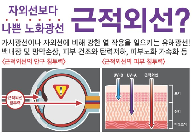 마곡 안경원 자외선블루라이트근적외선 차단렌즈 네이버 블로그