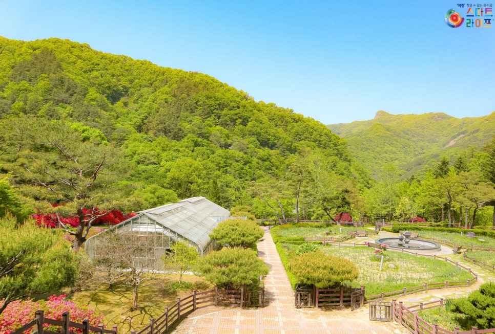 완주 나들이 대아수목원 산책로 꽃구경 전북 여행 코스 네이버 블로그
