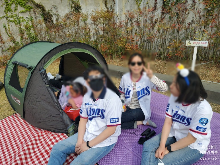 삼성라이온즈파크 좌석 후기 총 6곳 좌석 뷰 좌석 추천 네이버 블로그