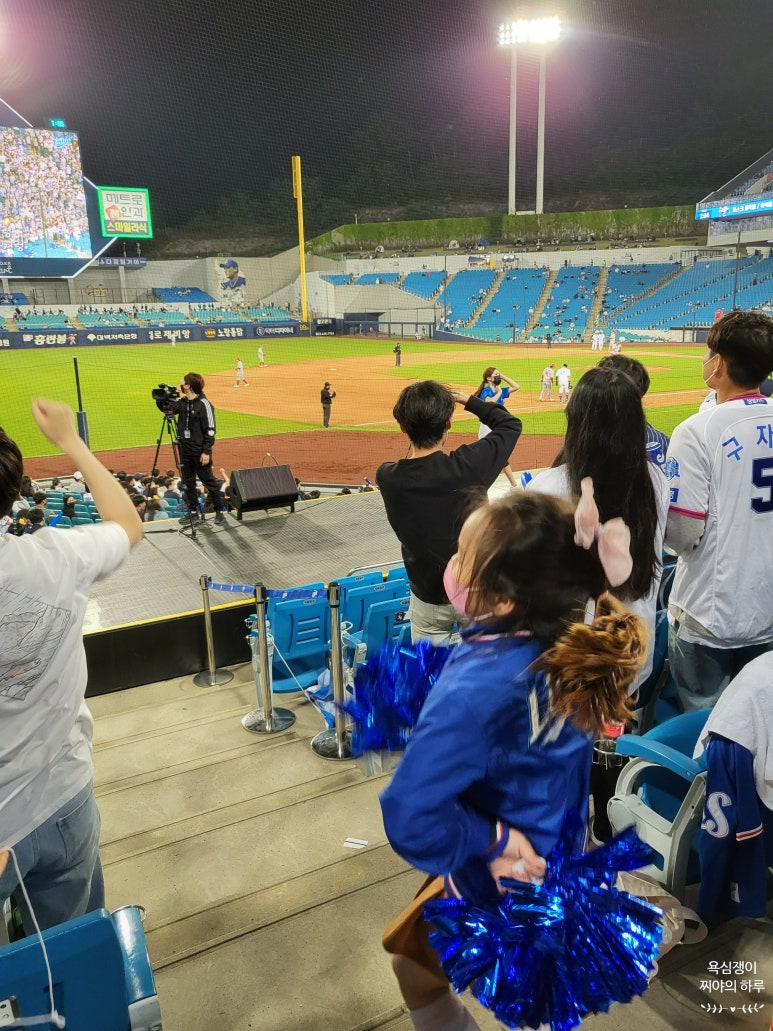 삼성라이온즈파크 좌석 후기 총 6곳 좌석 뷰 좌석 추천 네이버 블로그