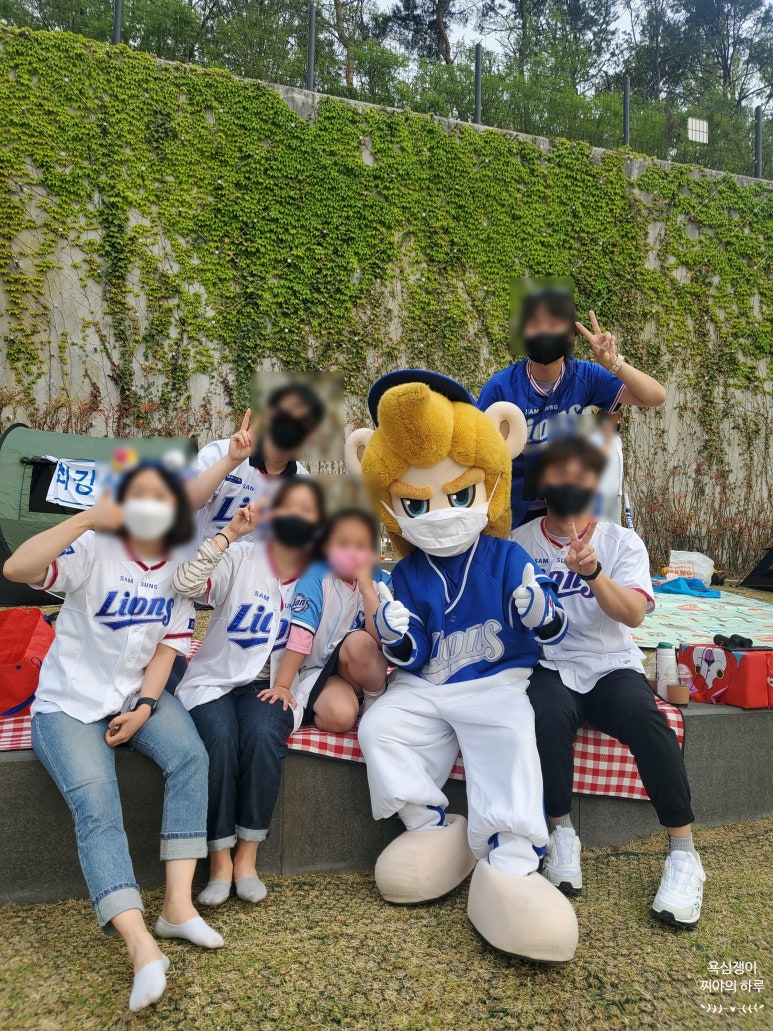 삼성라이온즈파크 좌석 후기 총 6곳 좌석 뷰 좌석 추천 네이버 블로그