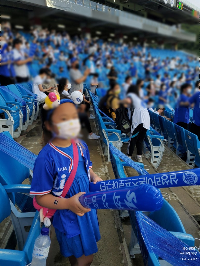 삼성라이온즈파크 좌석 후기 총 6곳 좌석 뷰 좌석 추천 네이버 블로그