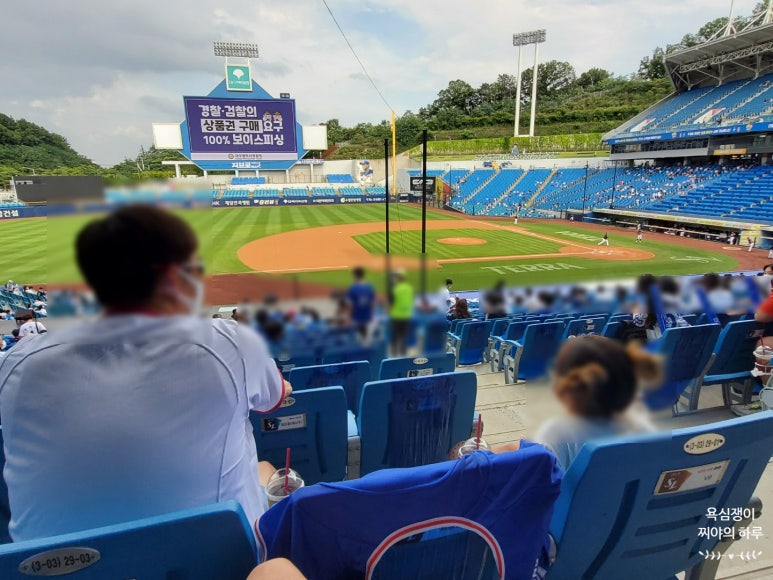 삼성라이온즈파크 좌석 후기 총 6곳 좌석 뷰 좌석 추천 네이버 블로그